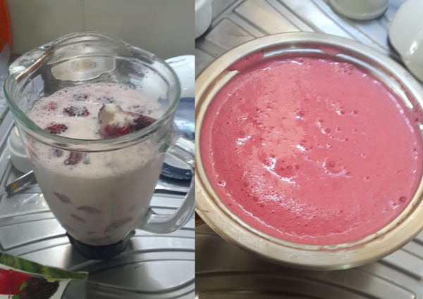 Blog del Neómano – Helado de paila